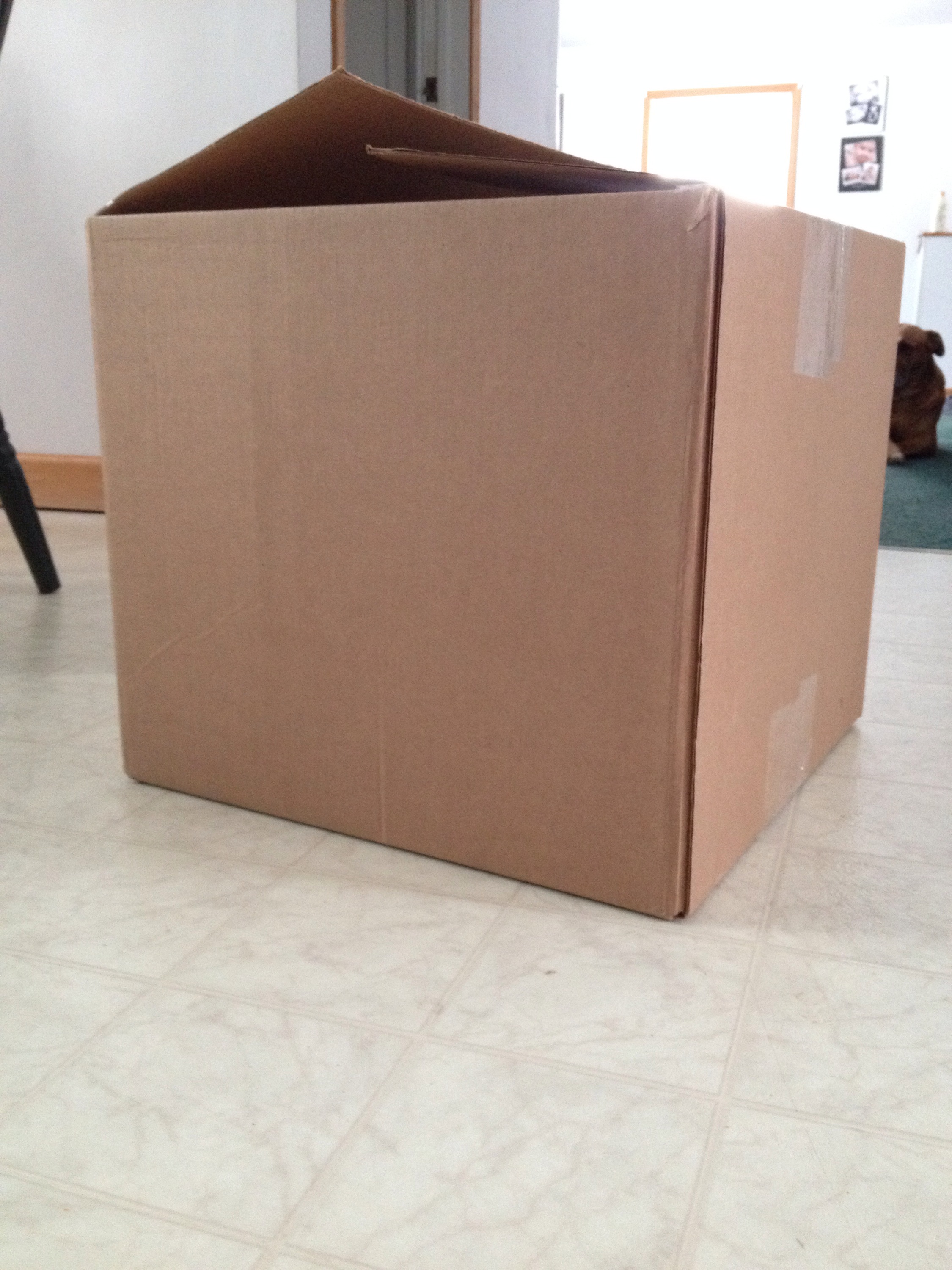 Cardboard Box - Blissfully Insane