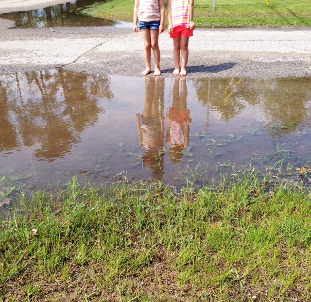 Muddy Puddles - Blissfully Insane